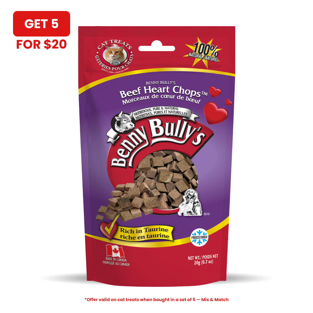 All Products – BennyBullys.com