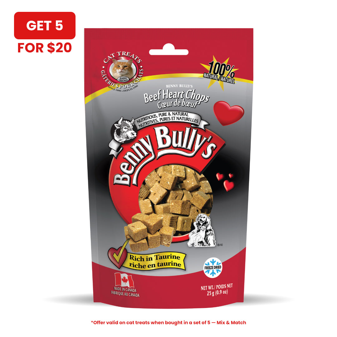 All Products – BennyBullys.com