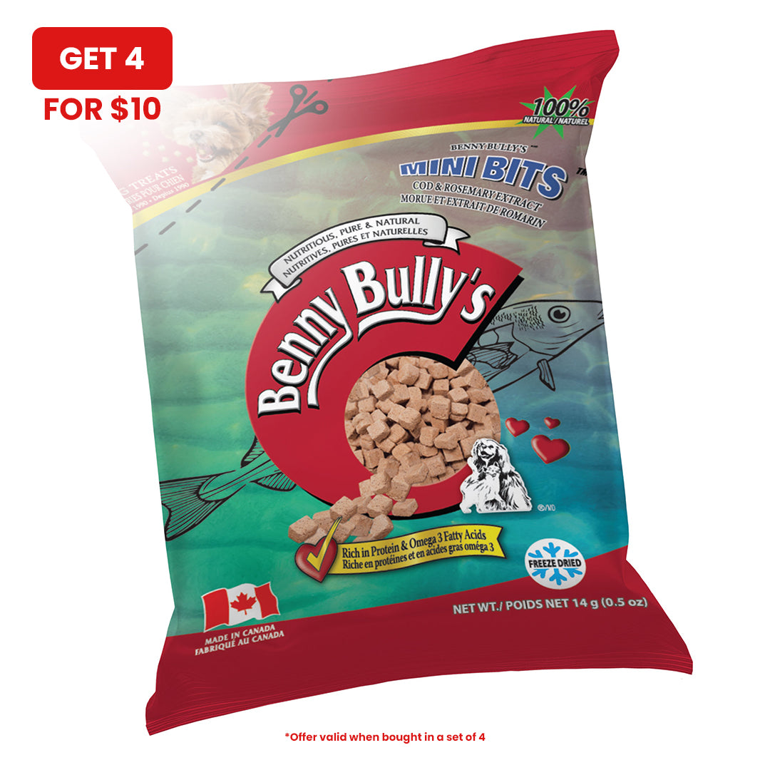 All Products – BennyBullys.com